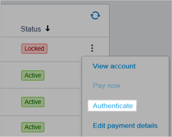 Authenticate online payments – Xero Central